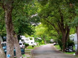 The Top 15 RV Parks in Austin, TX
