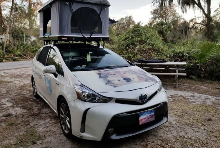 What to Know About Prius Camper: Prius Details and Samples